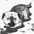 Dokuganryū/Gallery | Ginga Wiki | Fandom