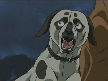 Hook | Ginga Wiki | Fandom