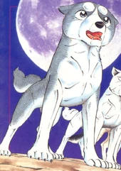Weed | Ginga Wiki | Fandom