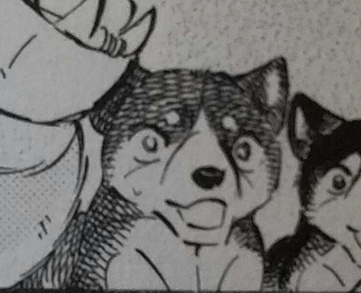 Hiroshi | Ginga Wiki | Fandom