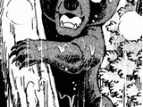 Category:Bears | Ginga Wiki | Fandom