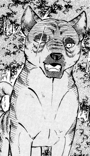 Kurotora | Ginga Wiki | Fandom