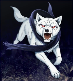 Матэус | Ginga вики | Fandom