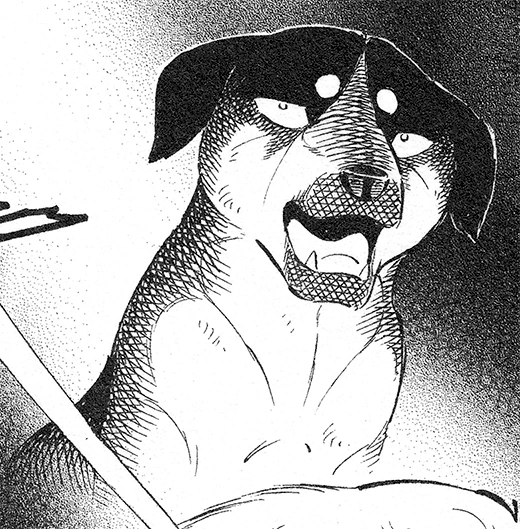 Shirō | Ginga Wiki | Fandom