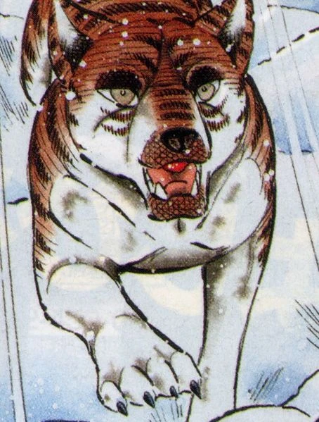 Akatora | Ginga Wiki | Fandom