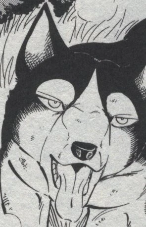 Reiji Hidaka | Ginga Wiki | Fandom