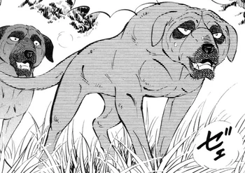 Musashi | Ginga Wiki | Fandom