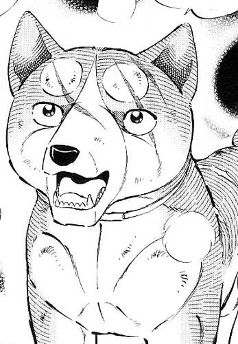 Joe | Ginga Wiki | Fandom