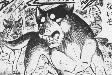 Ginga Quotes