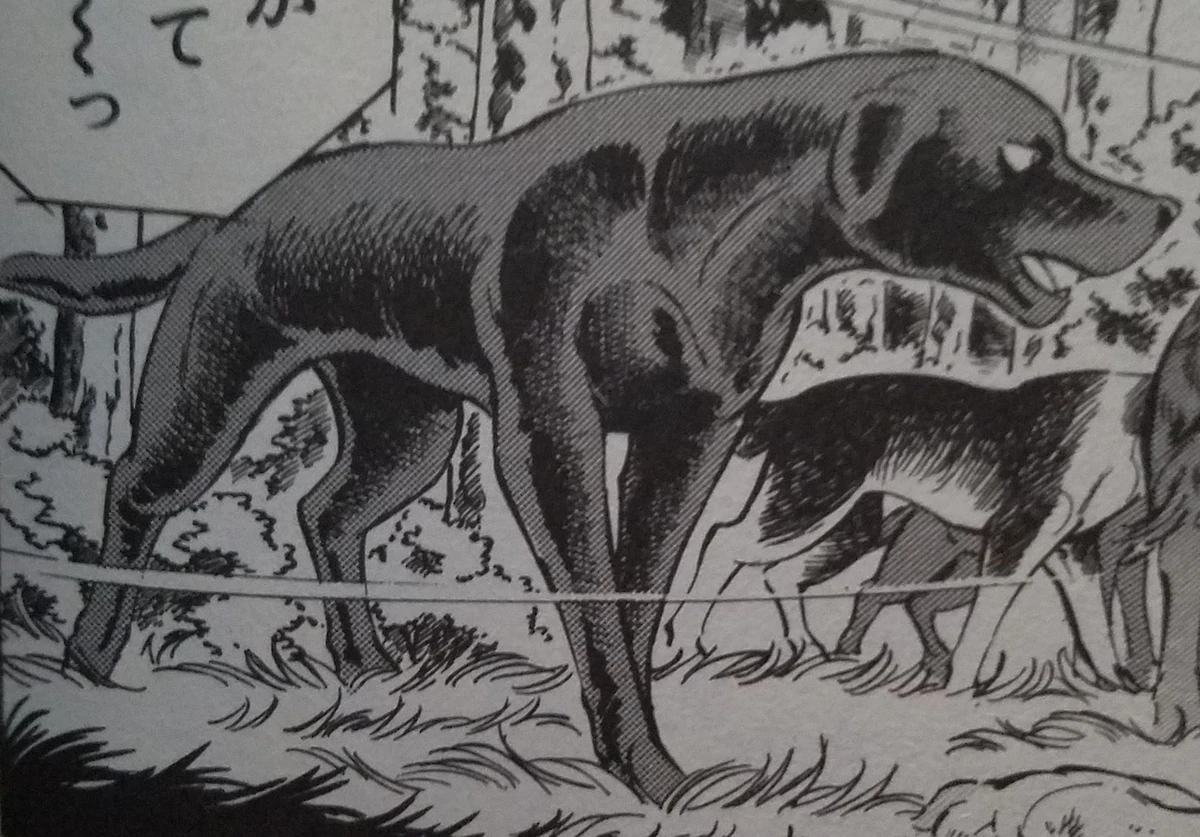 Tetsu (GDW) | Ginga Wiki | Fandom