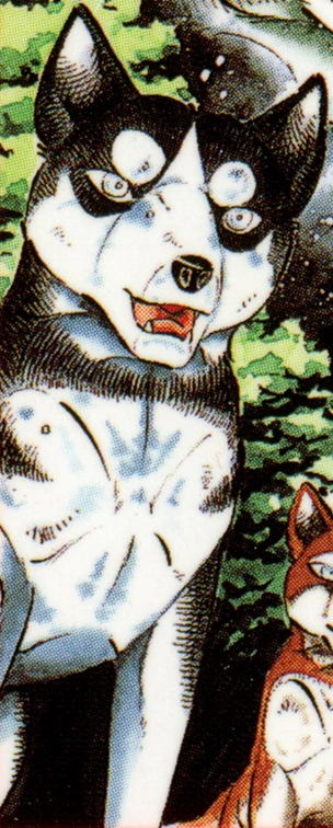 Seiryū | Ginga Wiki | Fandom