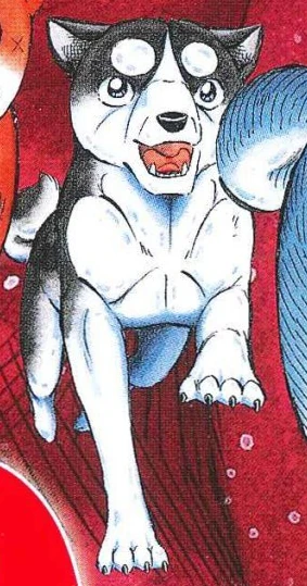Rigel | Ginga Wiki | Fandom