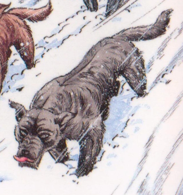 Kamajirō | Ginga Wiki | Fandom