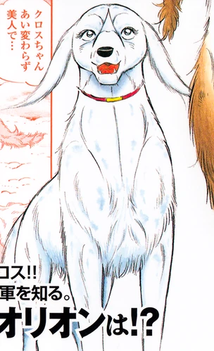 Cross | Ginga Wiki | Fandom