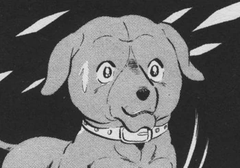 Musashi (Puppy) | Ginga Wiki | Fandom