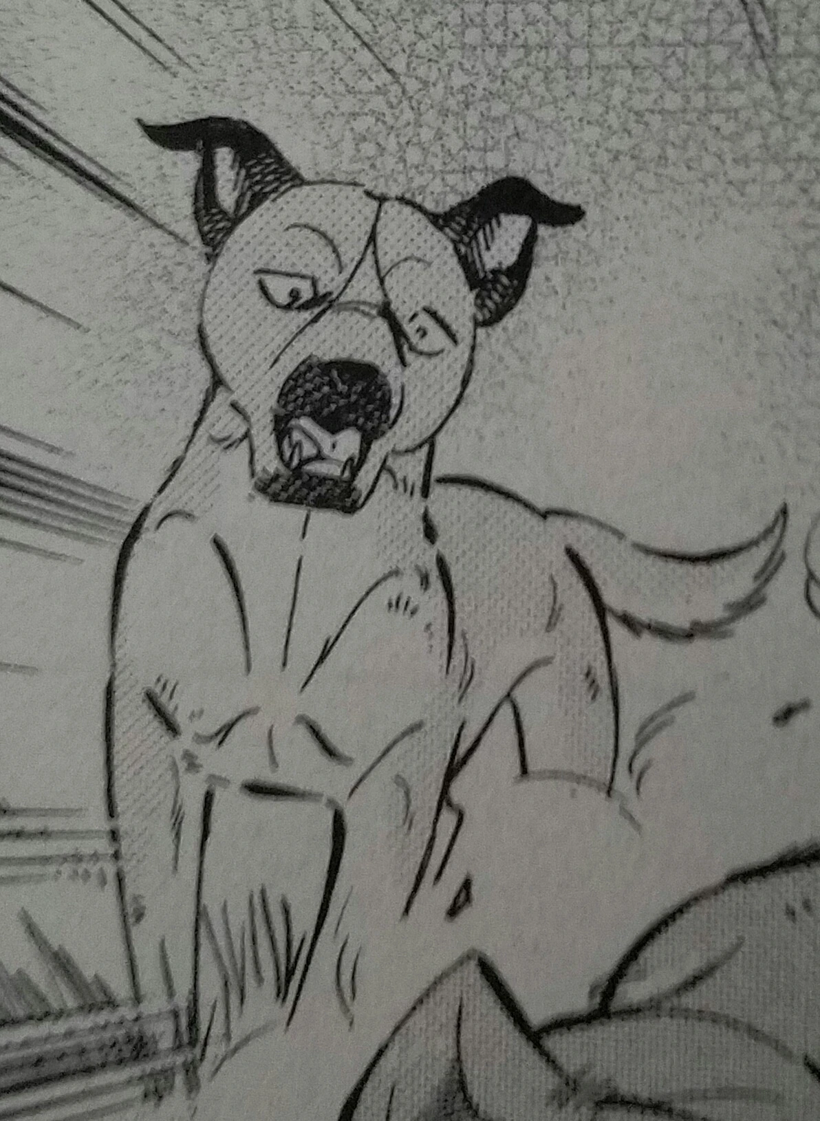 Shūto | Ginga Wiki | Fandom