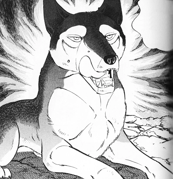 Wolf | Ginga Wiki | Fandom