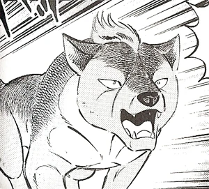 Resshi | Ginga Wiki | Fandom