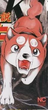 Riki/Gallery | Ginga Wiki | Fandom