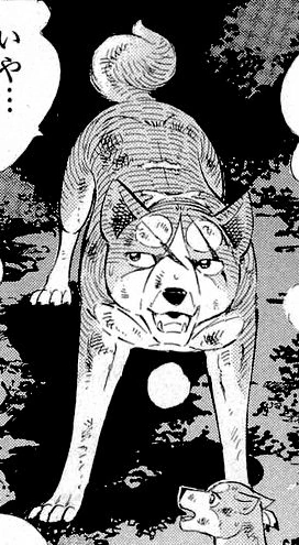 Joe | Ginga Wiki | Fandom