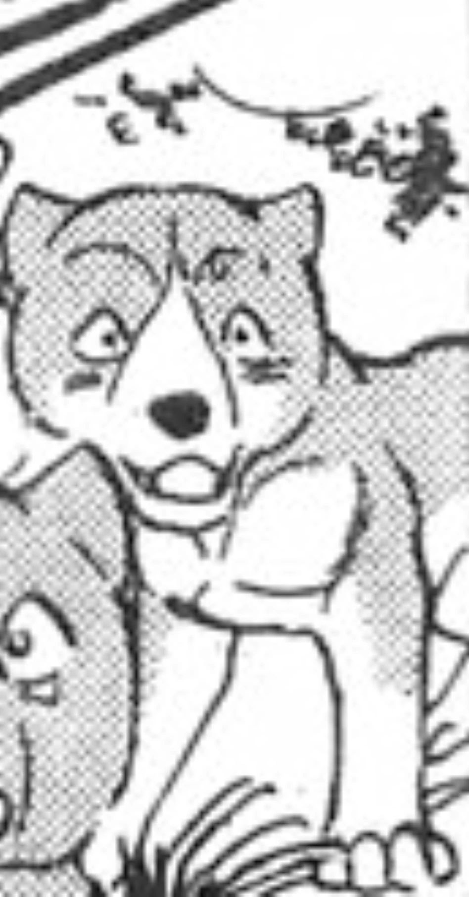 Kyōshirō's Siblings/Gallery | Ginga Wiki | Fandom