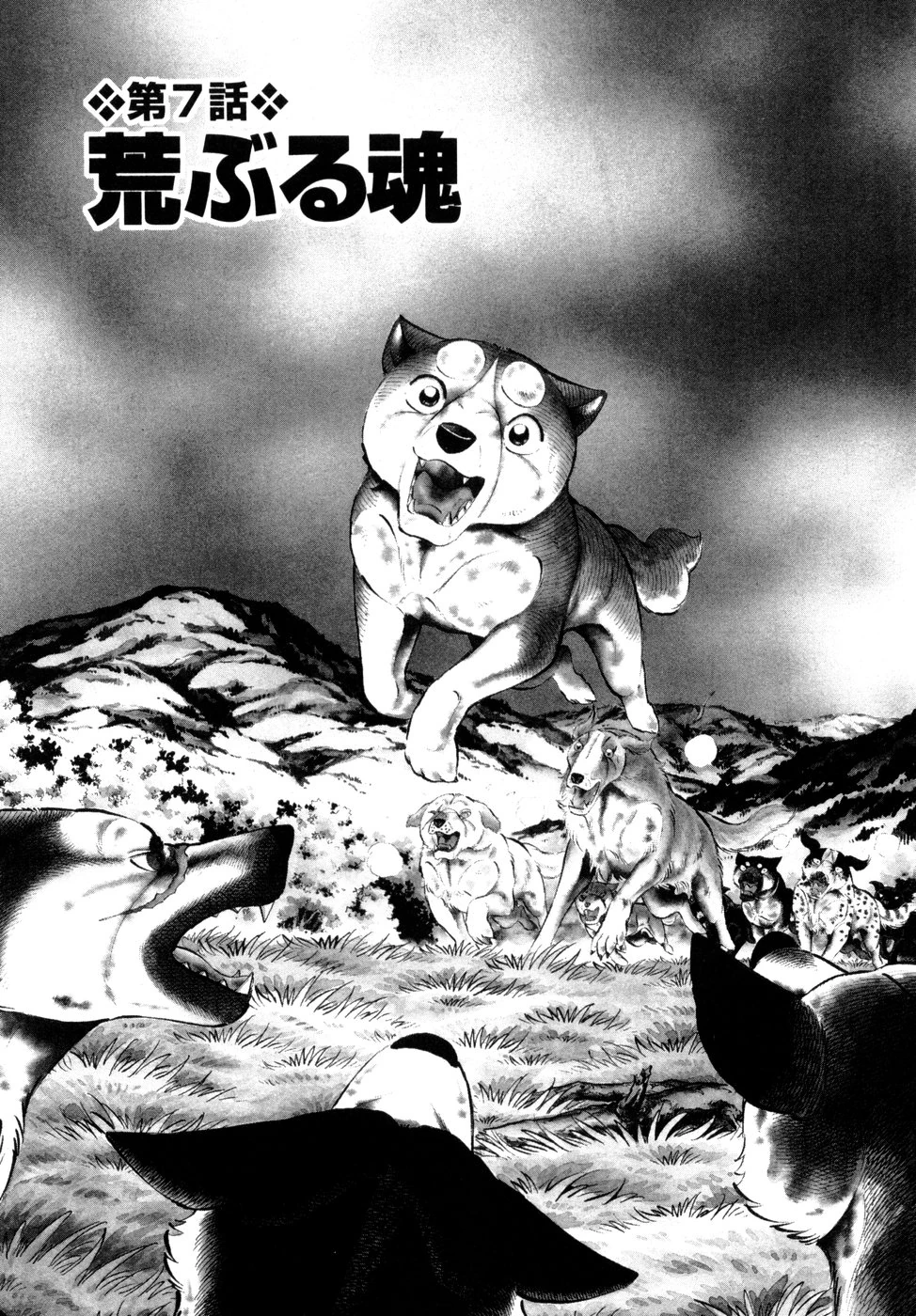 Chapter 370 (GDW) | Ginga Wiki | Fandom
