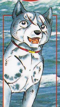 Joe | Ginga Wiki | Fandom