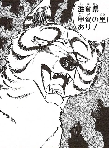 White Tiger | Ginga Wiki | Fandom