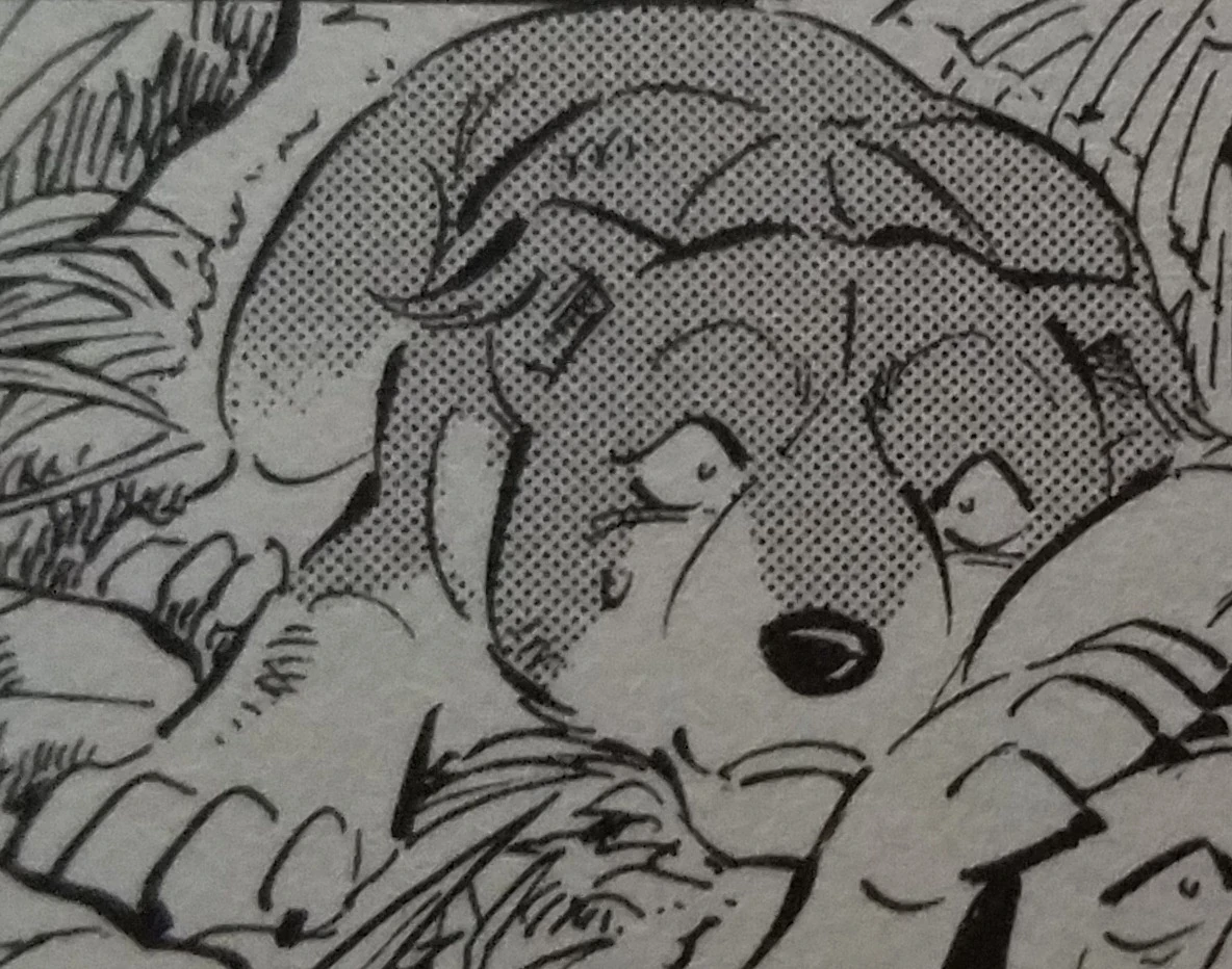 Katsutoshi | Ginga Wiki | Fandom