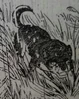 Nobutora/Gallery | Ginga Wiki | Fandom