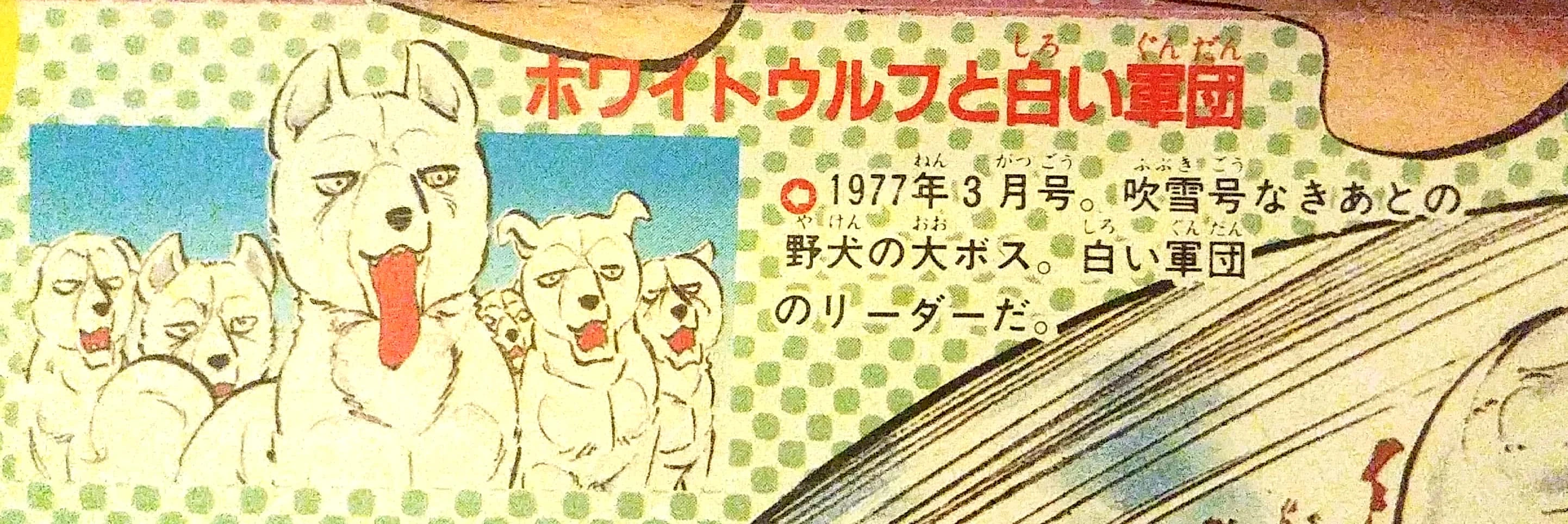 White Wolf/Gallery | Ginga Wiki | Fandom