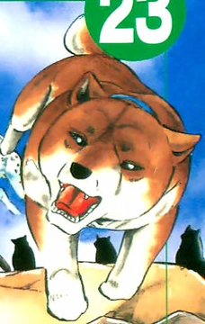 Sasuke/Gallery | Ginga Wiki | Fandom