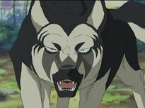 Jerome | Ginga Wiki | Fandom