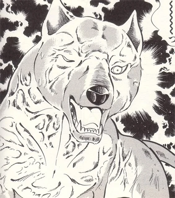 The Kōga Elder/Gallery | Ginga Wiki | Fandom