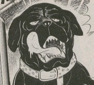 Kokuō | Ginga Wiki | Fandom