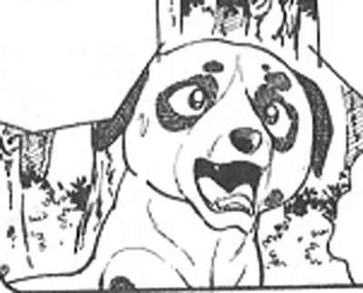 Category:Photo Gallery: Labrador Retriever | Ginga Wiki | Fandom