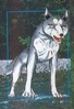 Lydia/Gallery | Ginga Wiki | Fandom