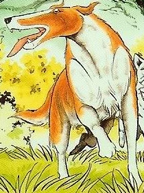 Rocket/Gallery | Ginga Wiki | Fandom