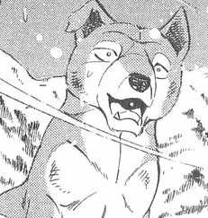 Shingo | Ginga Wiki | Fandom