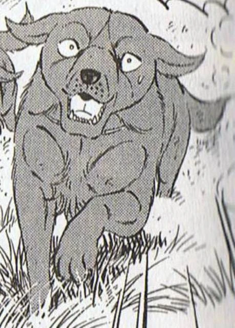 Booby/Gallery | Ginga Wiki | Fandom