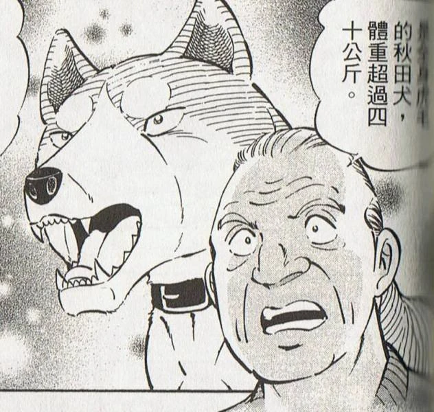 Gin's Look-Alike | Ginga Wiki | Fandom