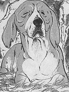 Old Dog | Ginga Wiki | Fandom