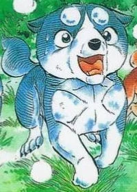 Category:Photo Gallery: Dogs | Ginga Wiki | Fandom