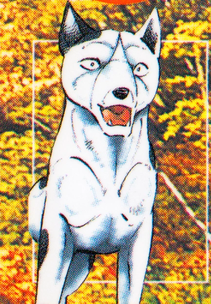 Masao | Ginga Wiki | Fandom