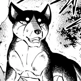 Chip | Ginga Wiki | Fandom