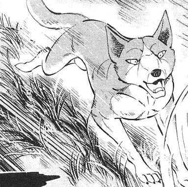 Igor | Ginga Wiki | Fandom