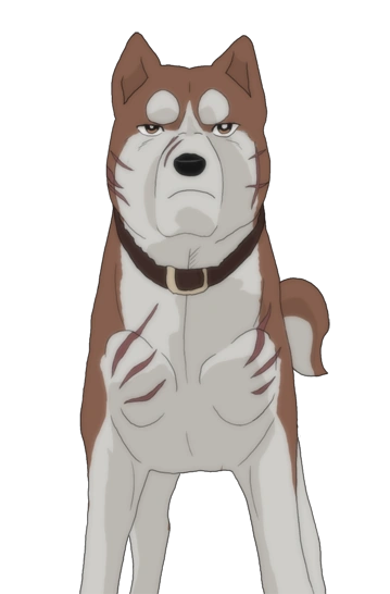 Рики | Ginga Фендом вики | Fandom