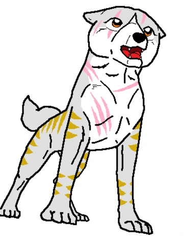 Ginga Densetsu Kintora | Ginga fan made Wiki | Fandom