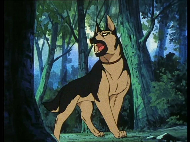 Ginga Nagareboshi Gin Riki