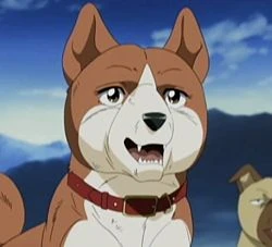 Reika | Gingat Wiki | Fandom